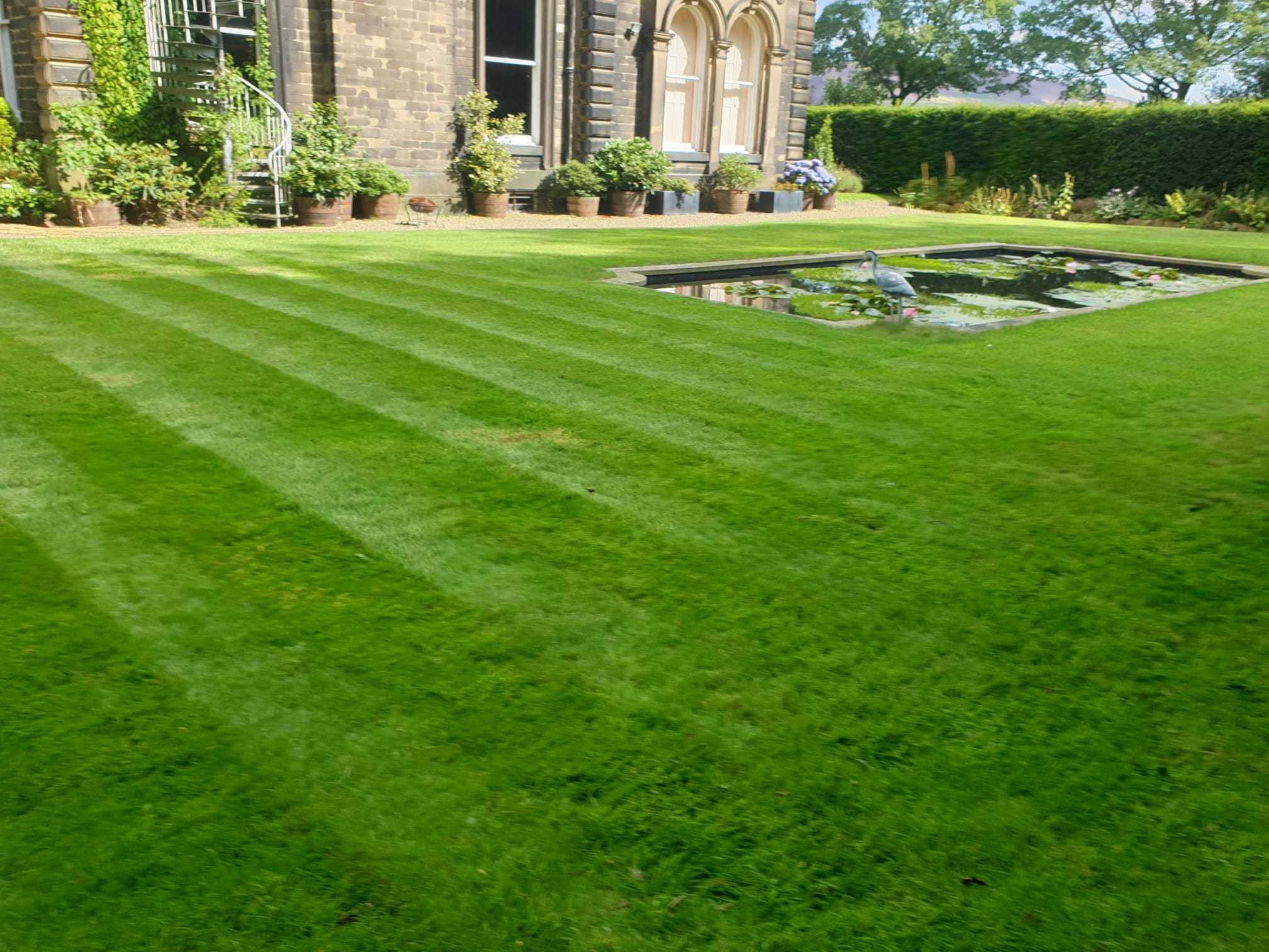 Tameside Lawn Care – Give Your Lawns a Little "TLC" this Year!