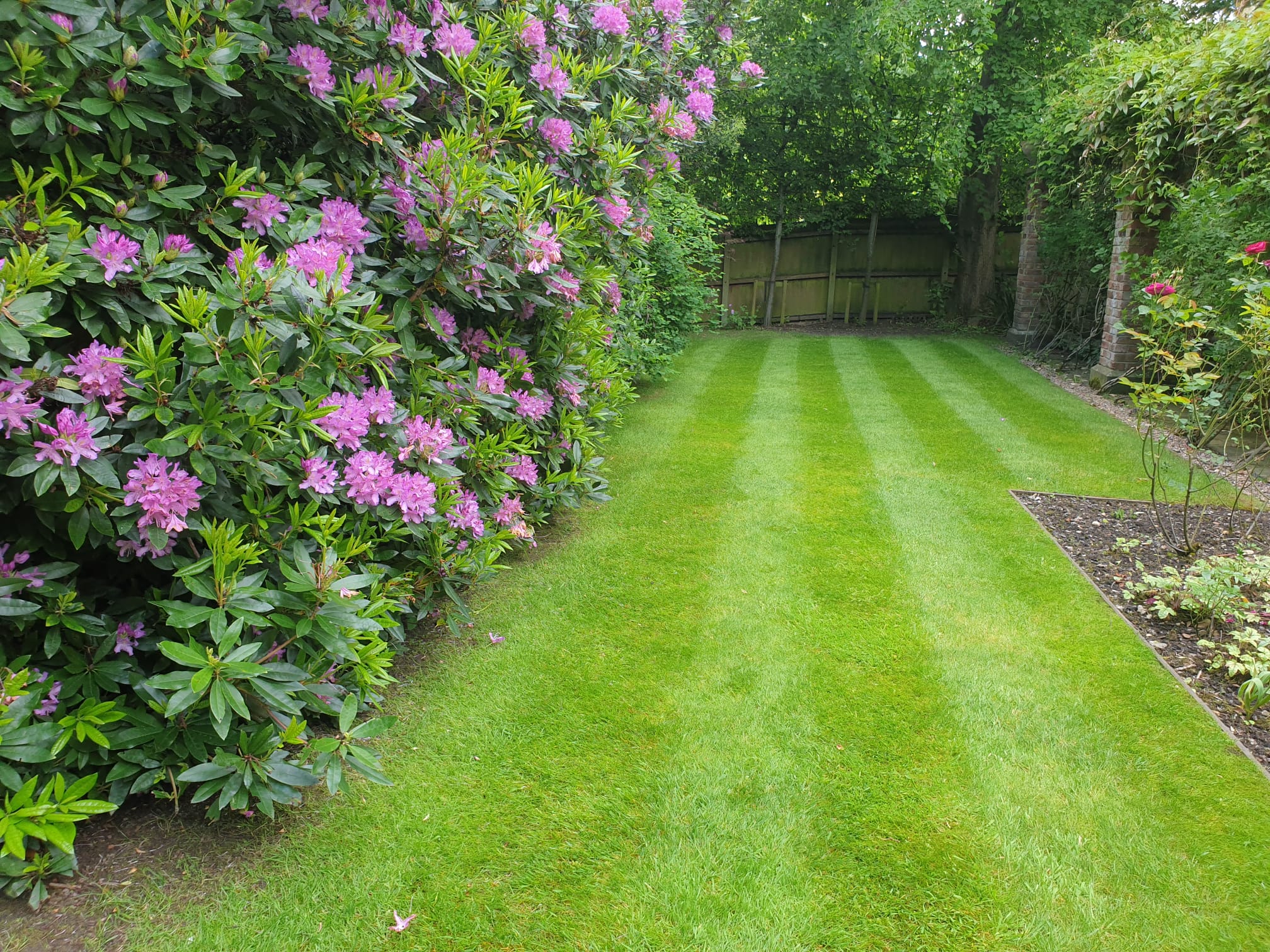 Tameside Lawn Care – Give Your Lawns a Little "TLC" this Year!