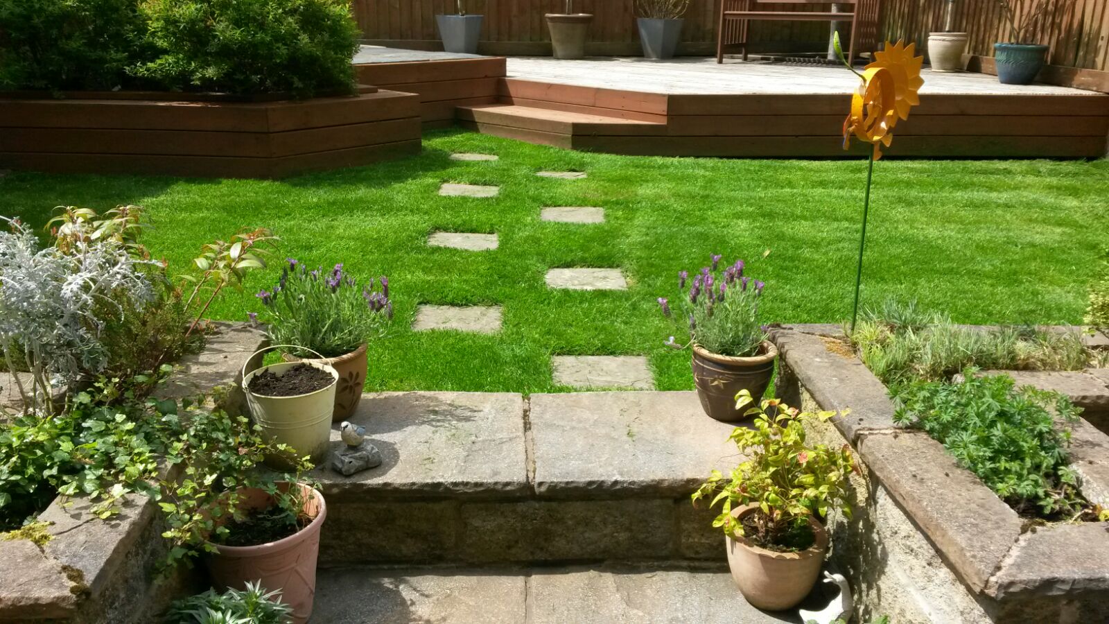 Tameside Lawn Care – Give Your Lawns a Little "TLC" this Year!