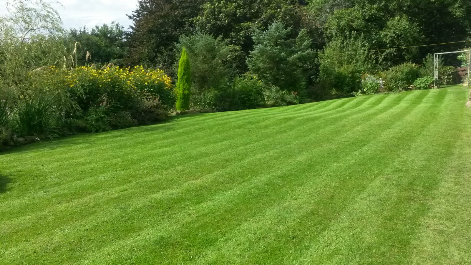 Tameside Lawn Care – Give Your Lawns a Little "TLC" this Year!